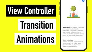 UIViewController Transition Animations